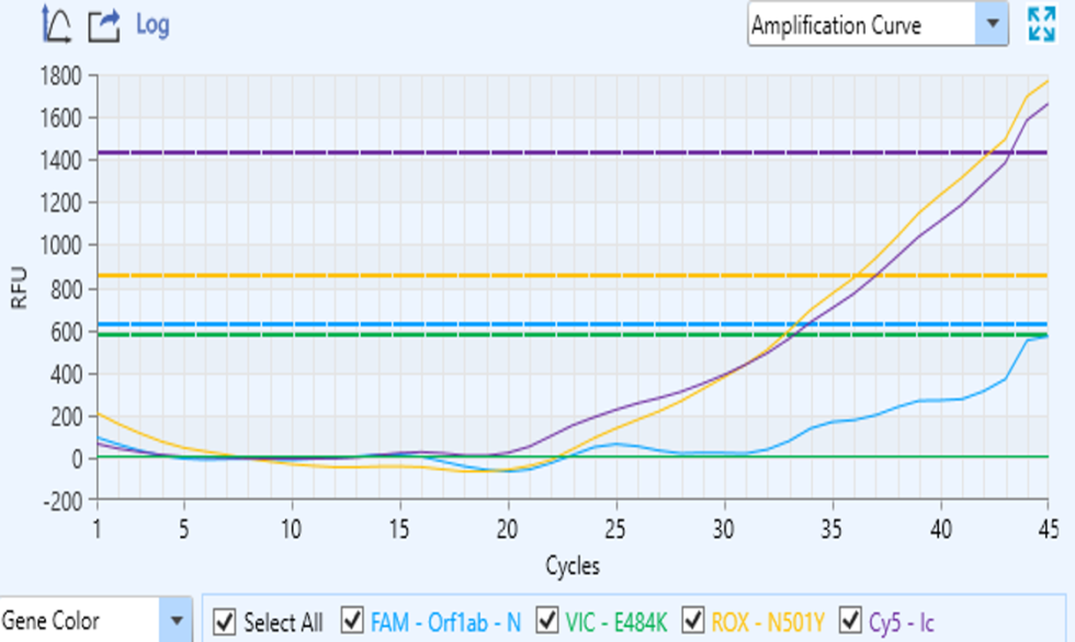 RT- PCR, the gold standard in CoViD-19 diagnosis: the most common ...